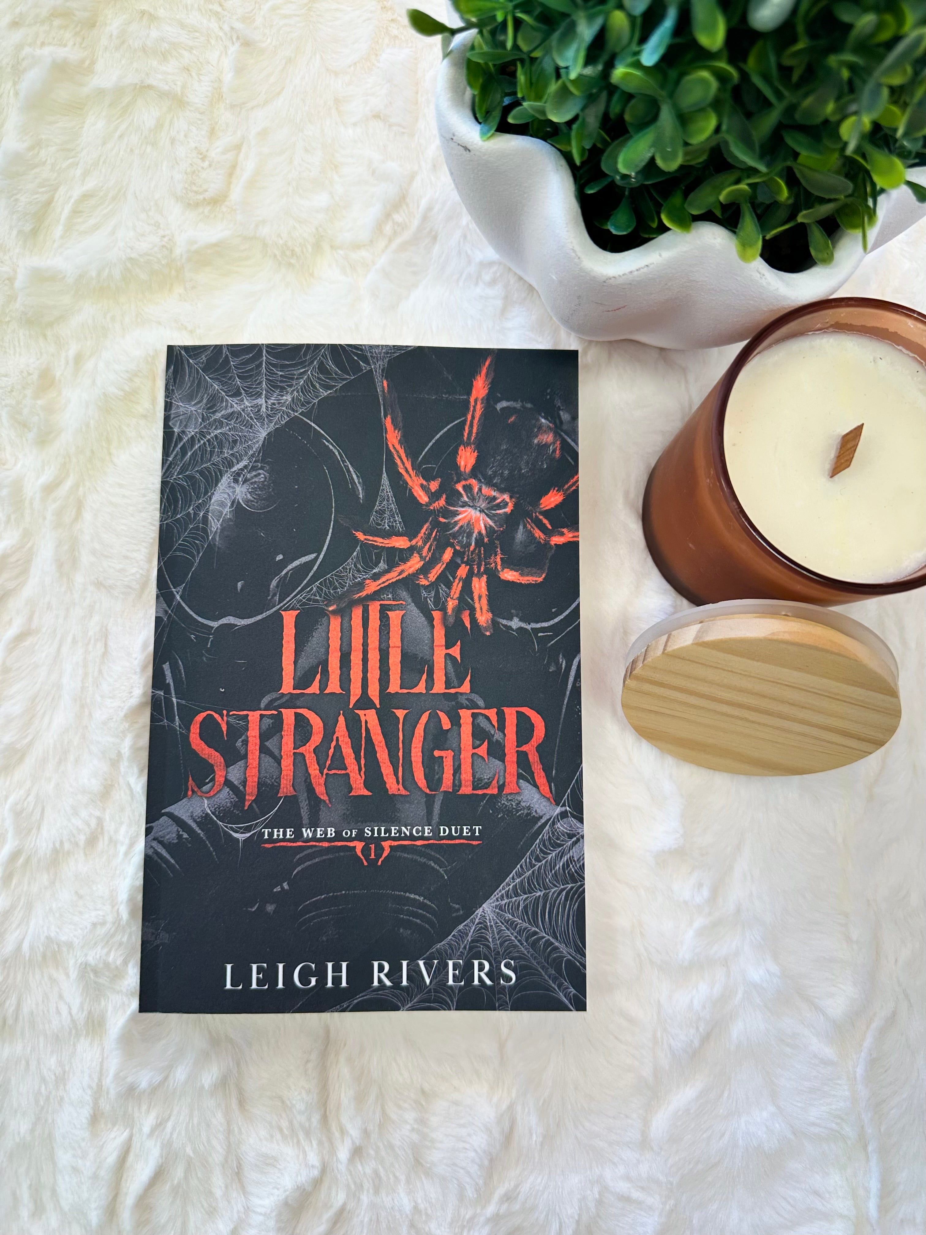 Little Stranger by Leigh Rivers – To Be Read Bookshop